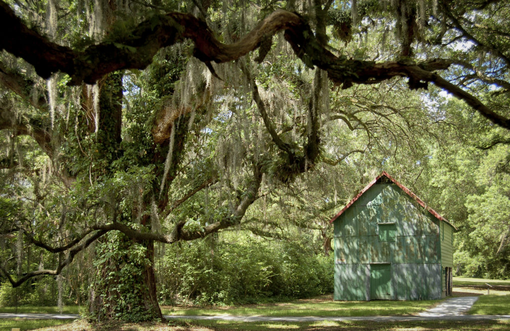 McLeod Plantation Historic Site and Caw Caw Interpretive Center - Sites ...