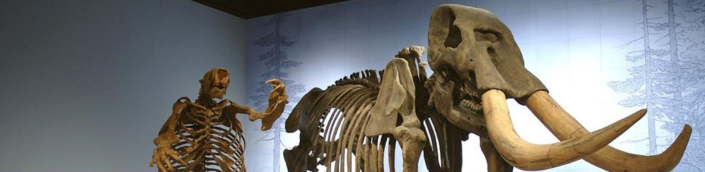 Illinois State Museum - Sites of Conscience